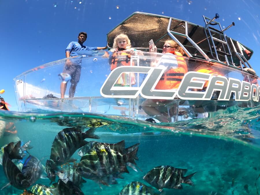 Reserva DAY PASS en Clear Boat Cozumel, Day pass en Cozumel | SUPERPASS